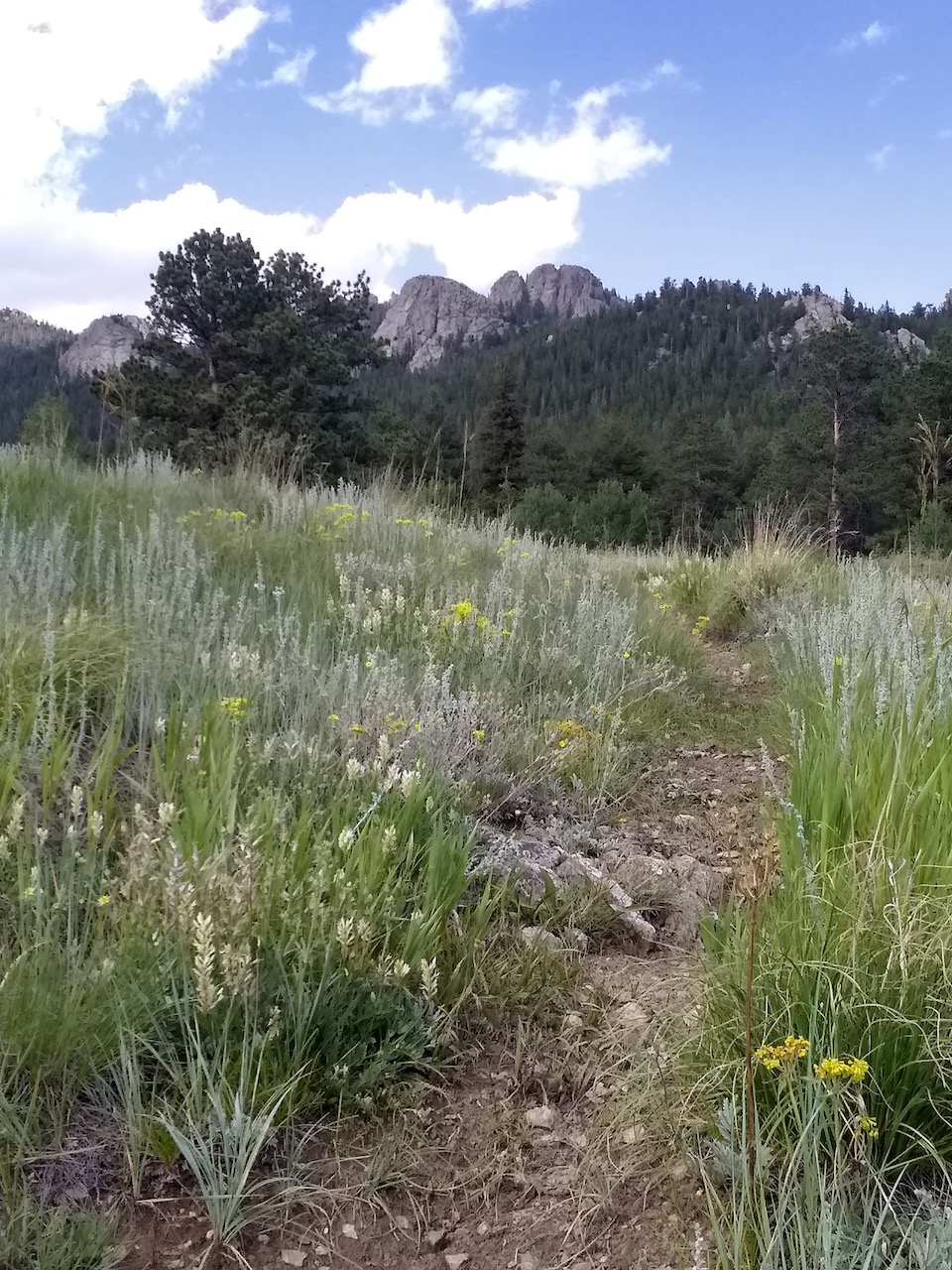 We make our own path through life… : Dancing Mountain Storm